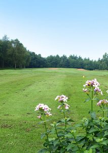 The Course – Priors Hall Golf Club